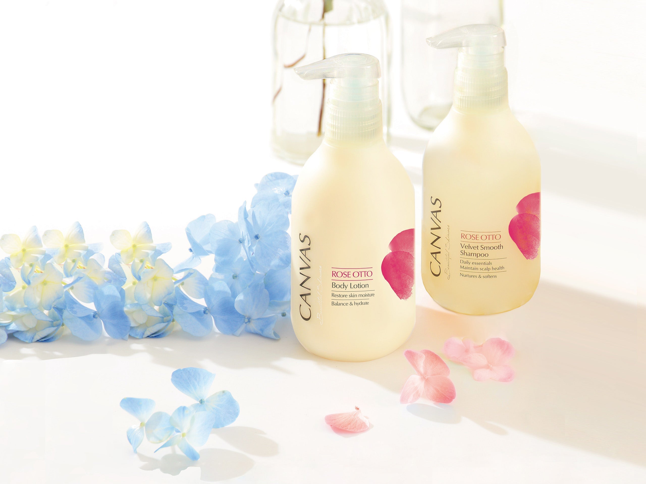 All Body & Hair – CANVAS Beauty Australia